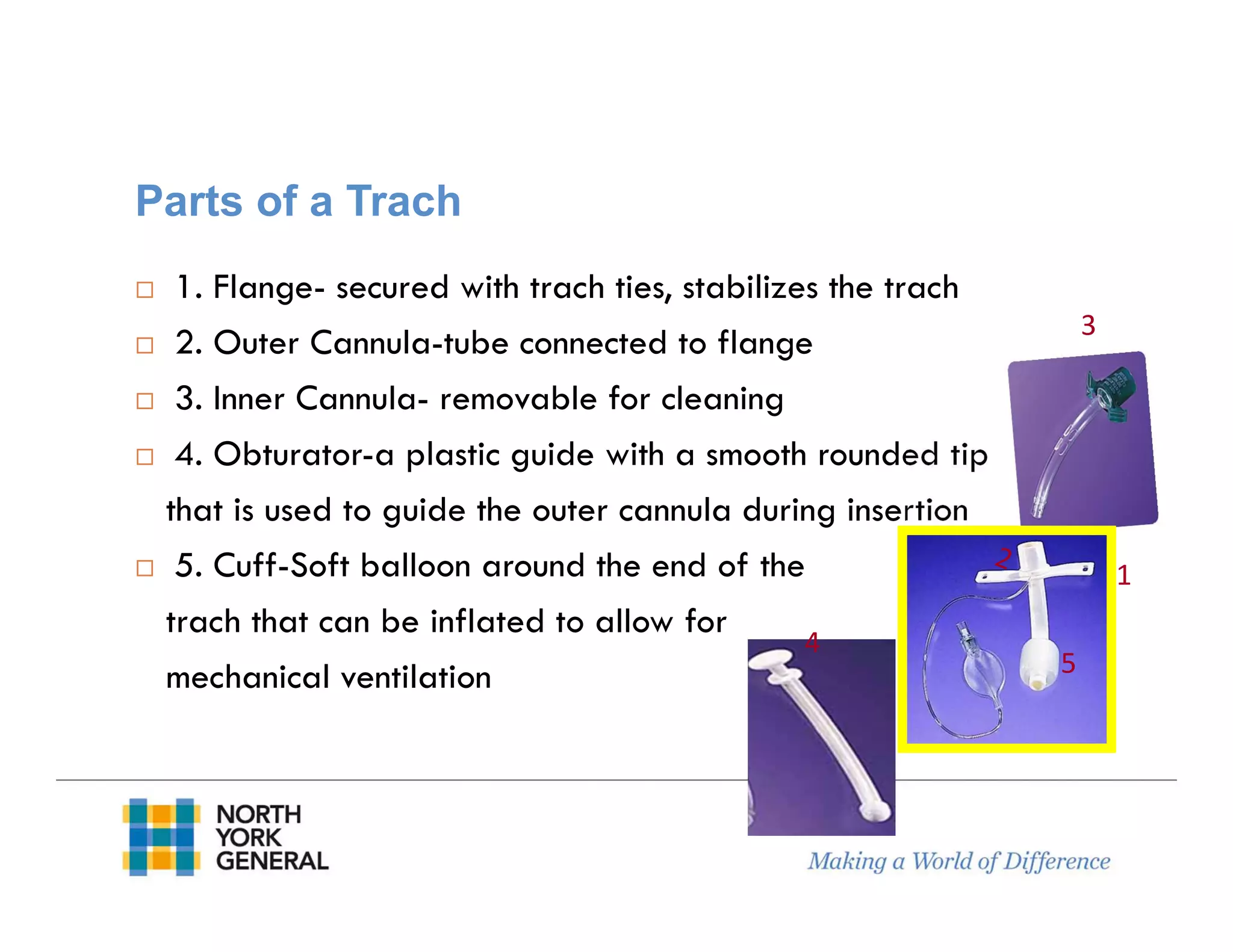 Tracheostomy care & management | PDF