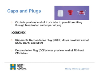 Tracheostomy care & management | PDF