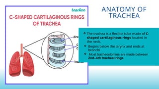 Tracheostomy_Care_Presentation (1).pptxFBRF | PPTX