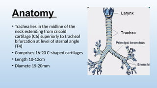 TRACHEOSTOMY, indication and management.pptx