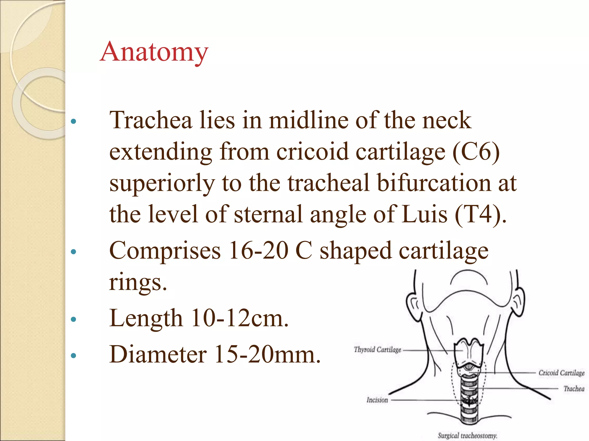 Tracheostomy | PPT