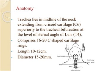 Tracheostomy | PPT