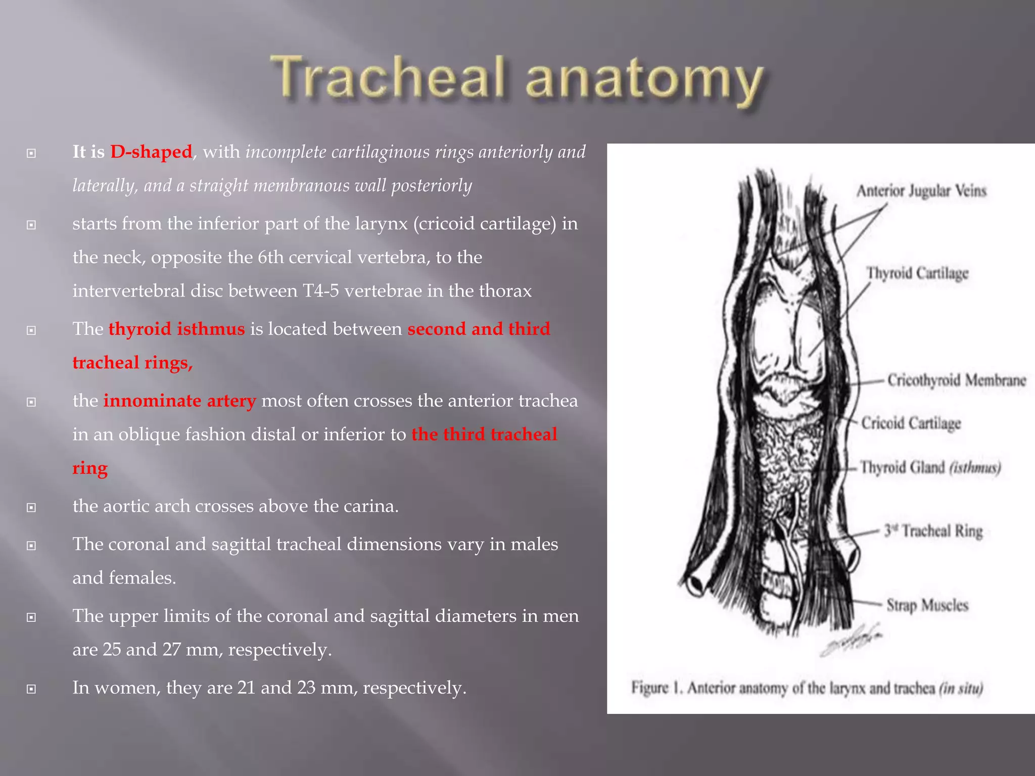 Tracheostomy Final.pptx | Ear, Nose and Throat Conditions | Diseases ...