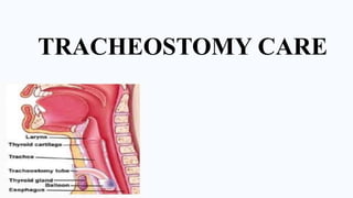 Tracheostomy care plan for nursing study | PPTX | First Aid | Injuries
