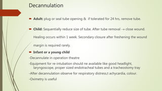 Tracheostomy & tracheal surgeries | PPTX