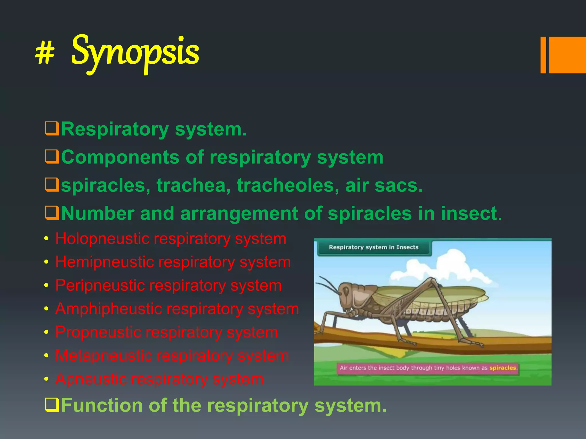 Trachial respiration in insects | PPTX