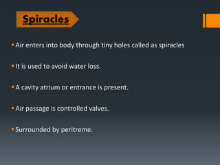 Trachial respiration in insects | PPTX
