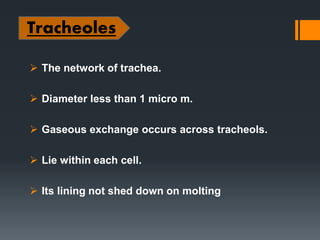 Trachial respiration in insects | PPTX