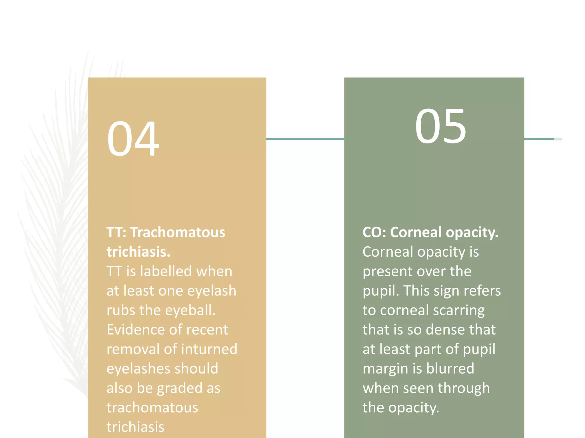 Trachoma | PPTX