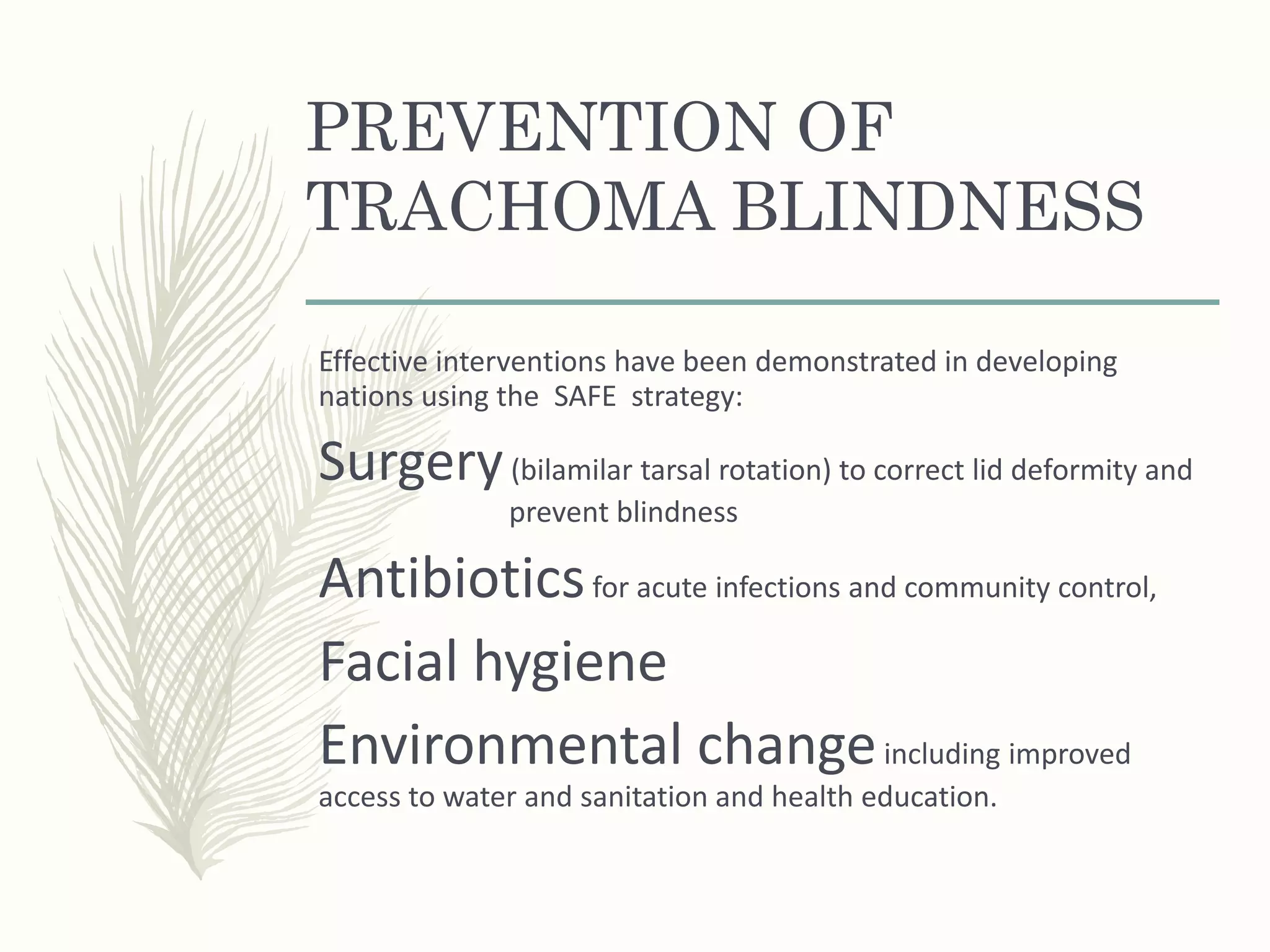 Trachoma | PPTX