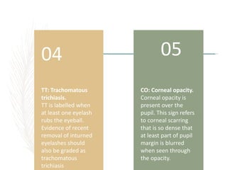 Trachoma | PPTX