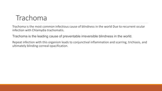 Trachoma | PPTX