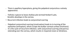 Trachoma of human eye for certificate nurses | PPTX