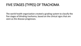 Trachoma of human eye for certificate nurses | PPTX | Eye and Vision ...