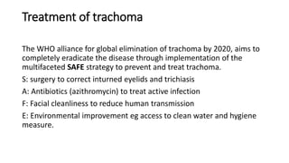 Trachoma of human eye for certificate nurses | PPTX | Eye and Vision ...