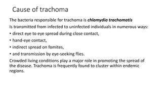 Trachoma of human eye for certificate nurses | PPTX | Eye and Vision ...