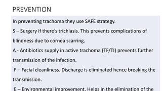 trachoma-paula.pptx | Eye and Vision Conditions | Diseases and Conditions