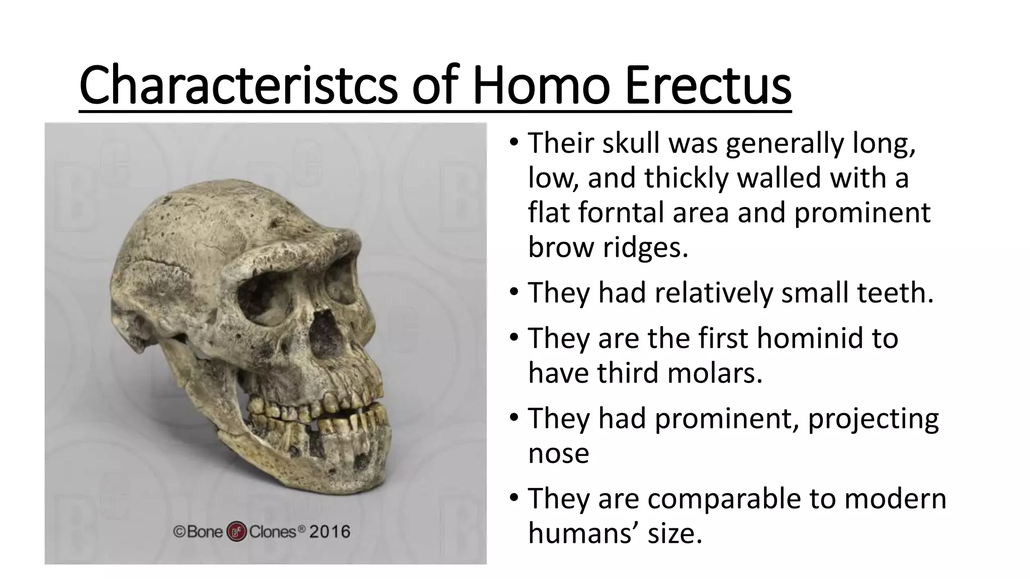 Tracing back the human biocultural and social evolution | PPTX