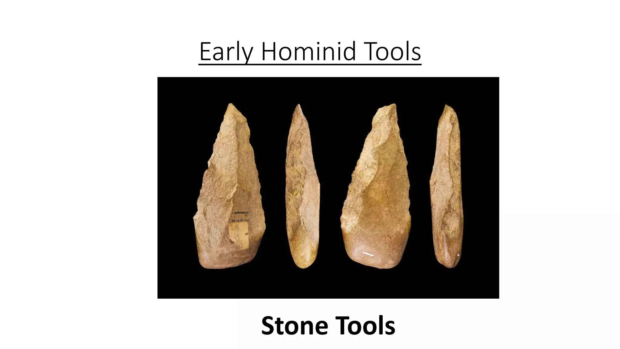 Tracing back the human biocultural and social evolution | PPTX
