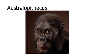 Tracing back the human biocultural and social evolution | PPTX