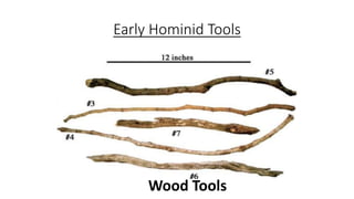 Tracing back the human biocultural and social evolution | PPTX