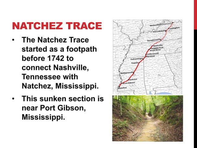 Tracing migration trails | PPT | Free Download