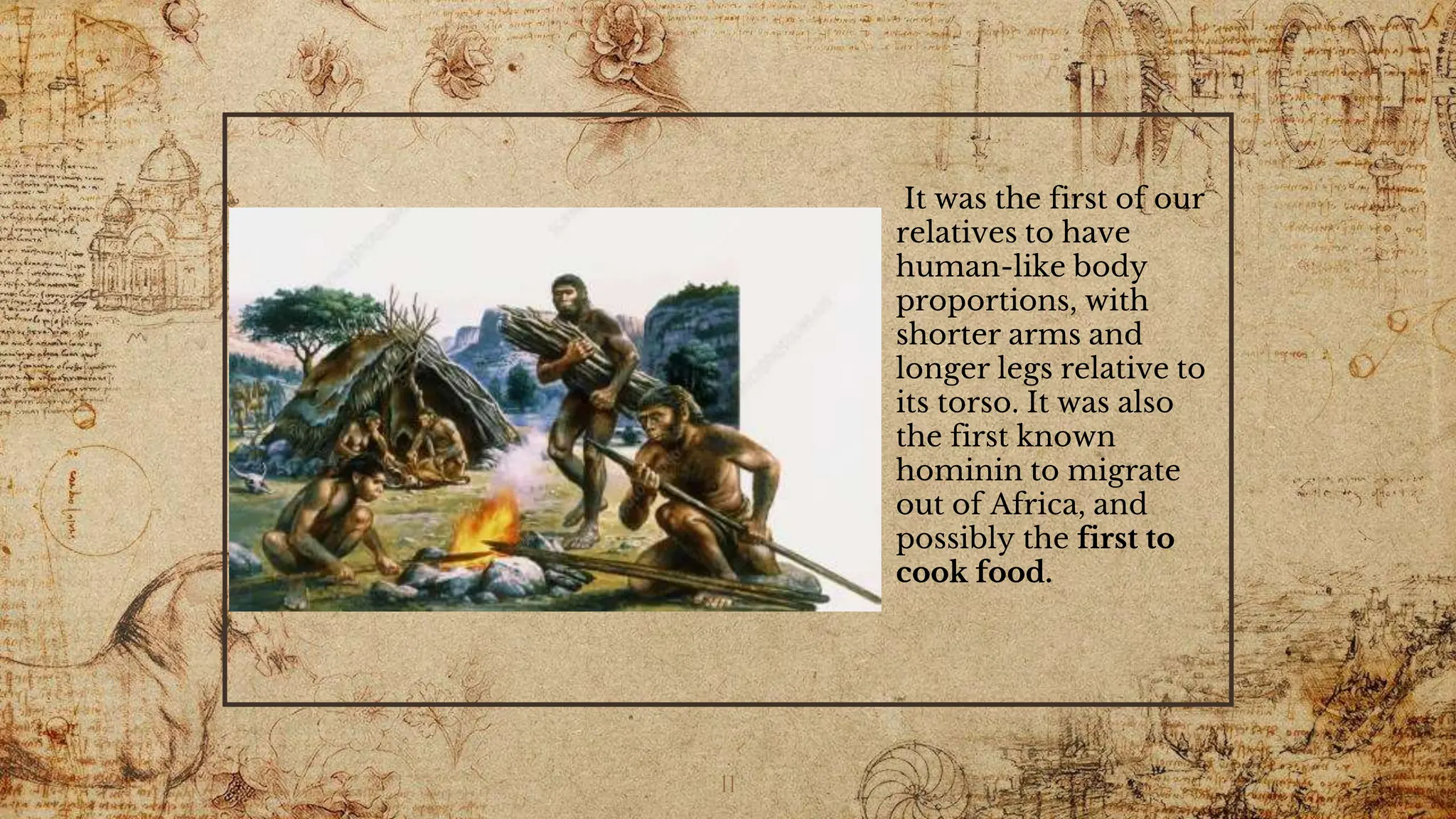 Tracing the Bioculural and Evolution of Early to Modern Humans.pptx