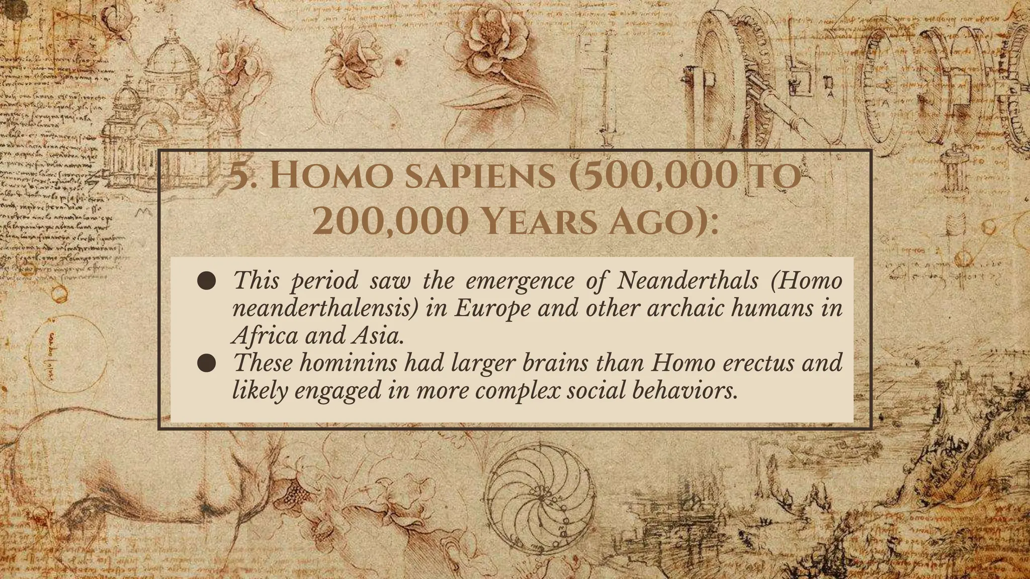 Tracing the Bioculural and Evolution of Early to Modern Humans.pptx