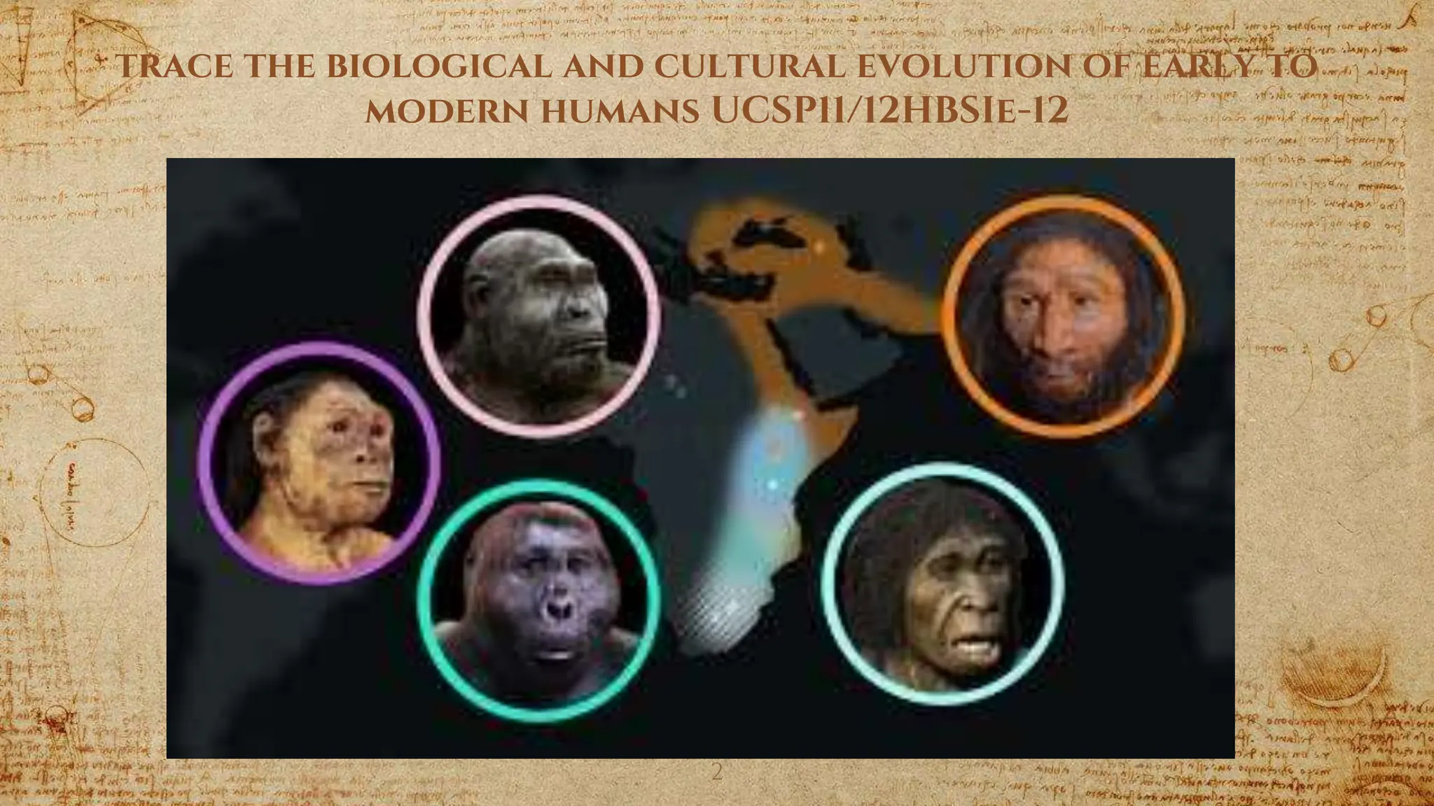 Tracing the Bioculural and Evolution of Early to Modern Humans.pptx ...