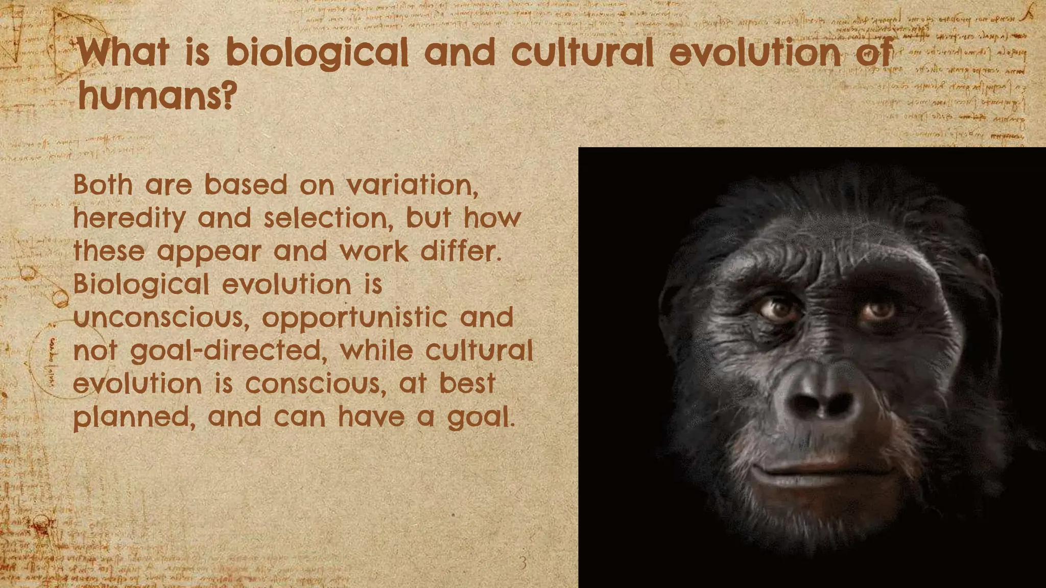 Tracing the Bioculural and Evolution of Early to Modern Humans.pptx