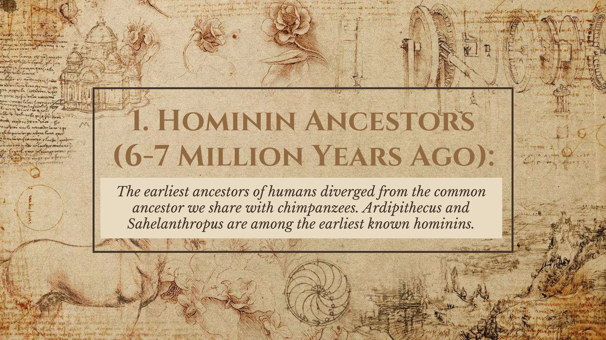 Tracing the Bioculural and Evolution of Early to Modern Humans.pptx