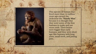 Tracing the Bioculural and Evolution of Early to Modern Humans.pptx