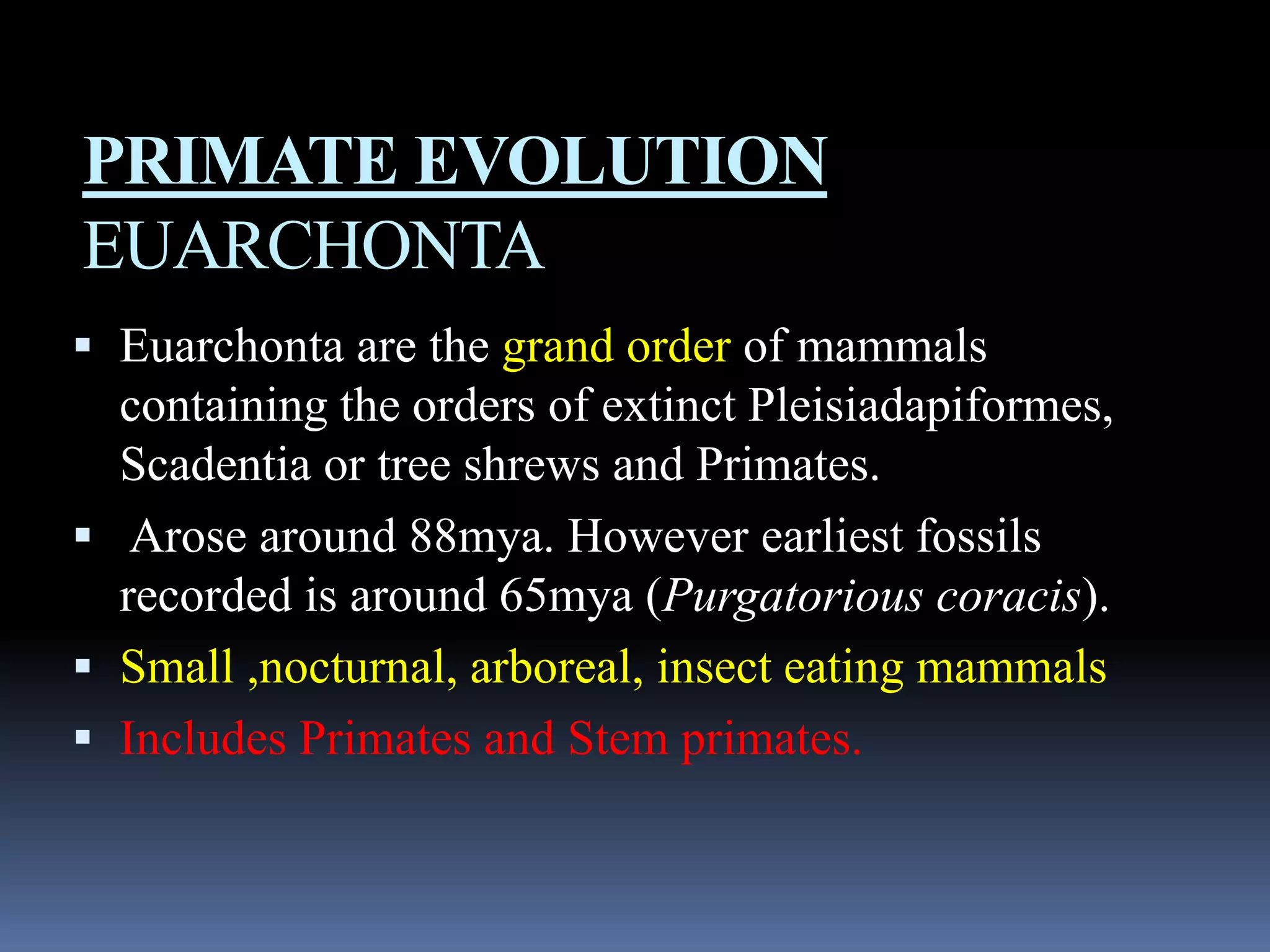 Tracing the human evolution | PPTX