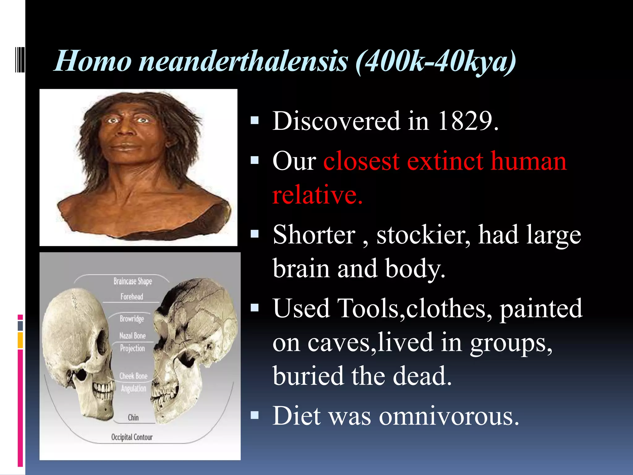 Tracing the human evolution | PPTX