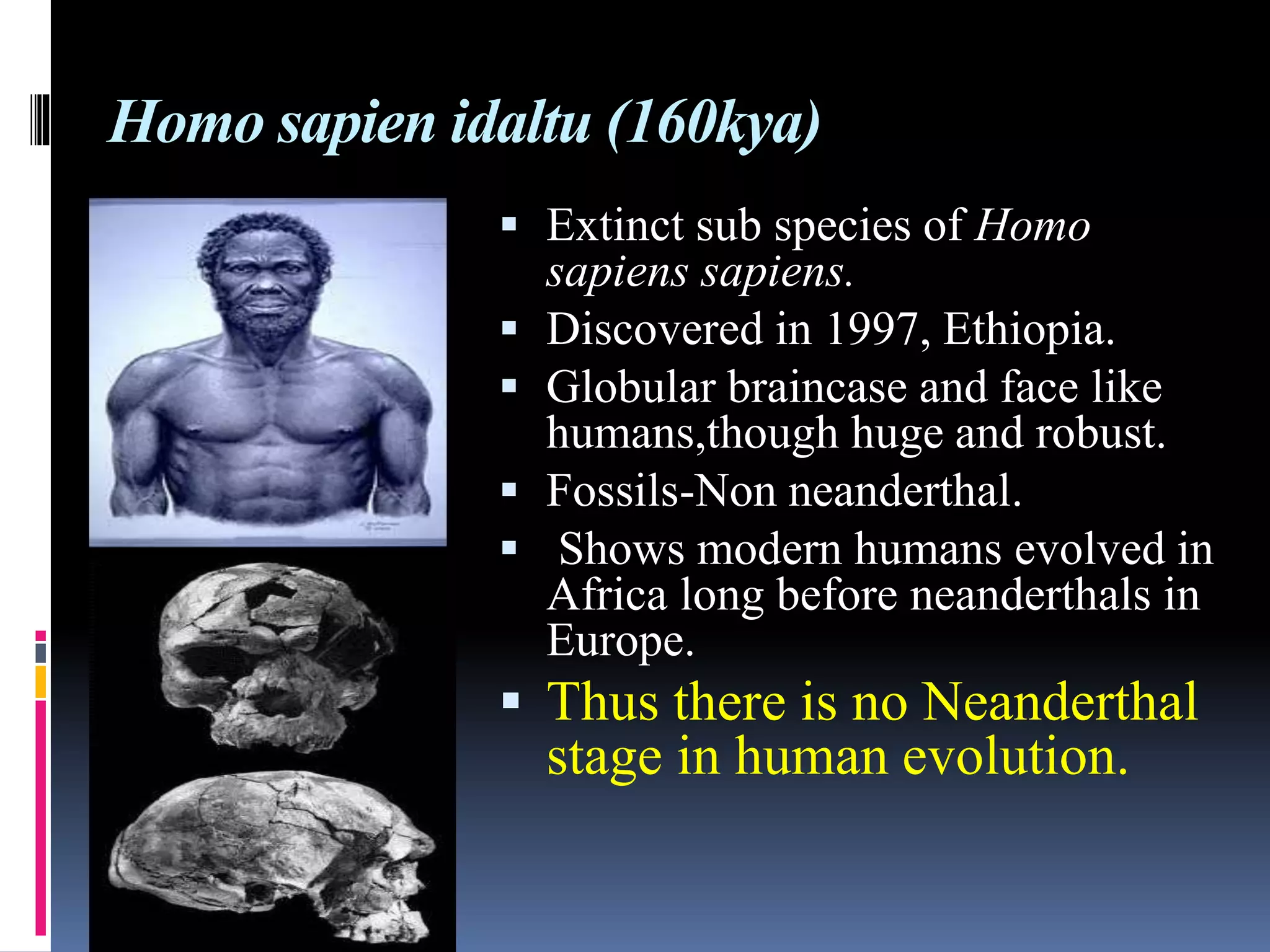 Tracing the human evolution | PPTX
