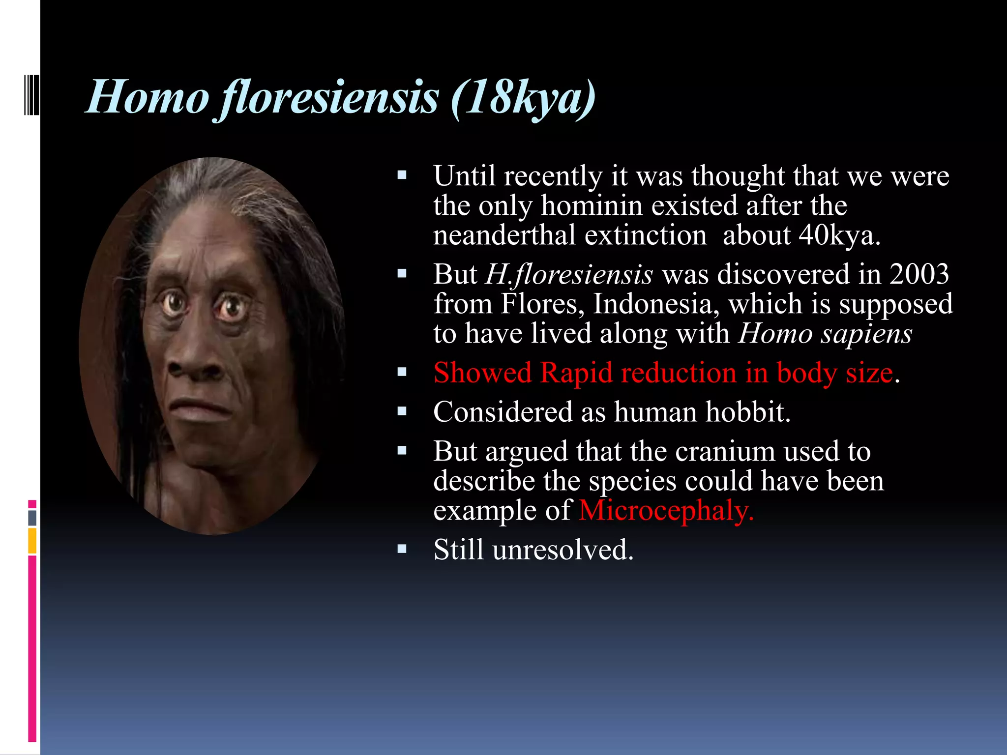 Tracing the human evolution | PPTX