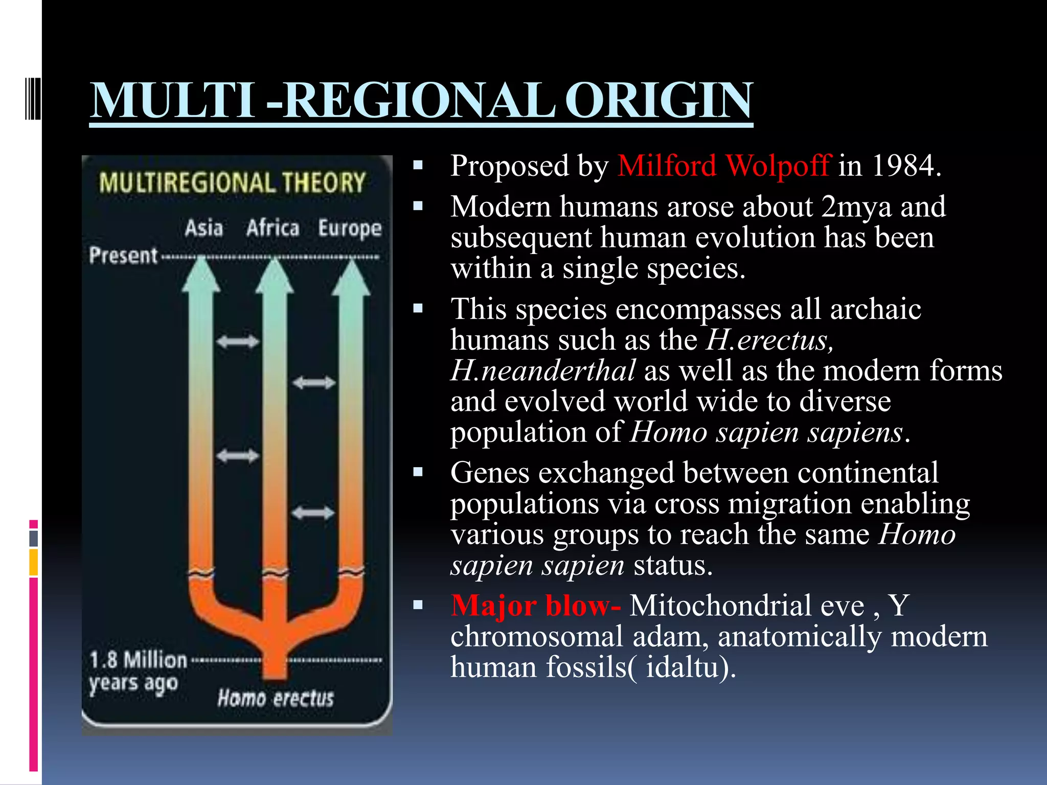 Tracing the human evolution | PPTX