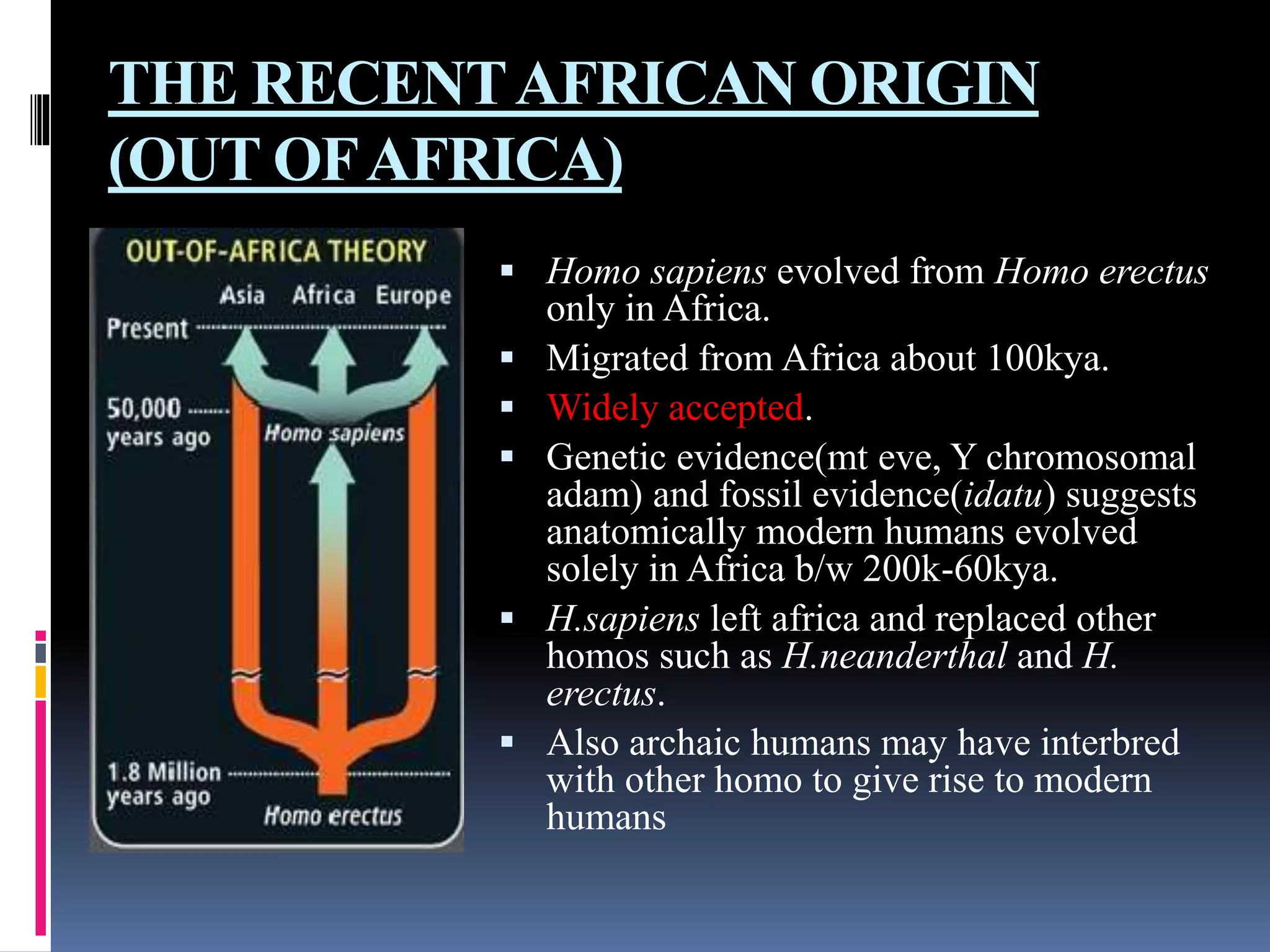 Tracing the human evolution | PPTX