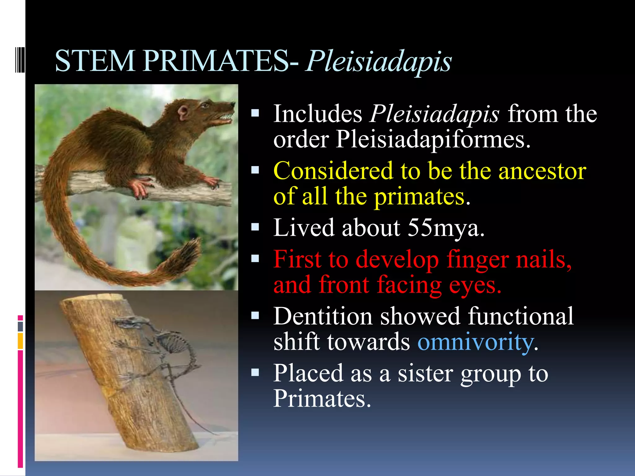 Tracing the human evolution | PPTX