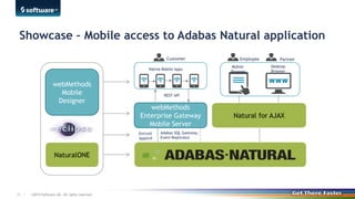 Adabas & Natural Strategy - The Role of Systems of Record in a Digital ...