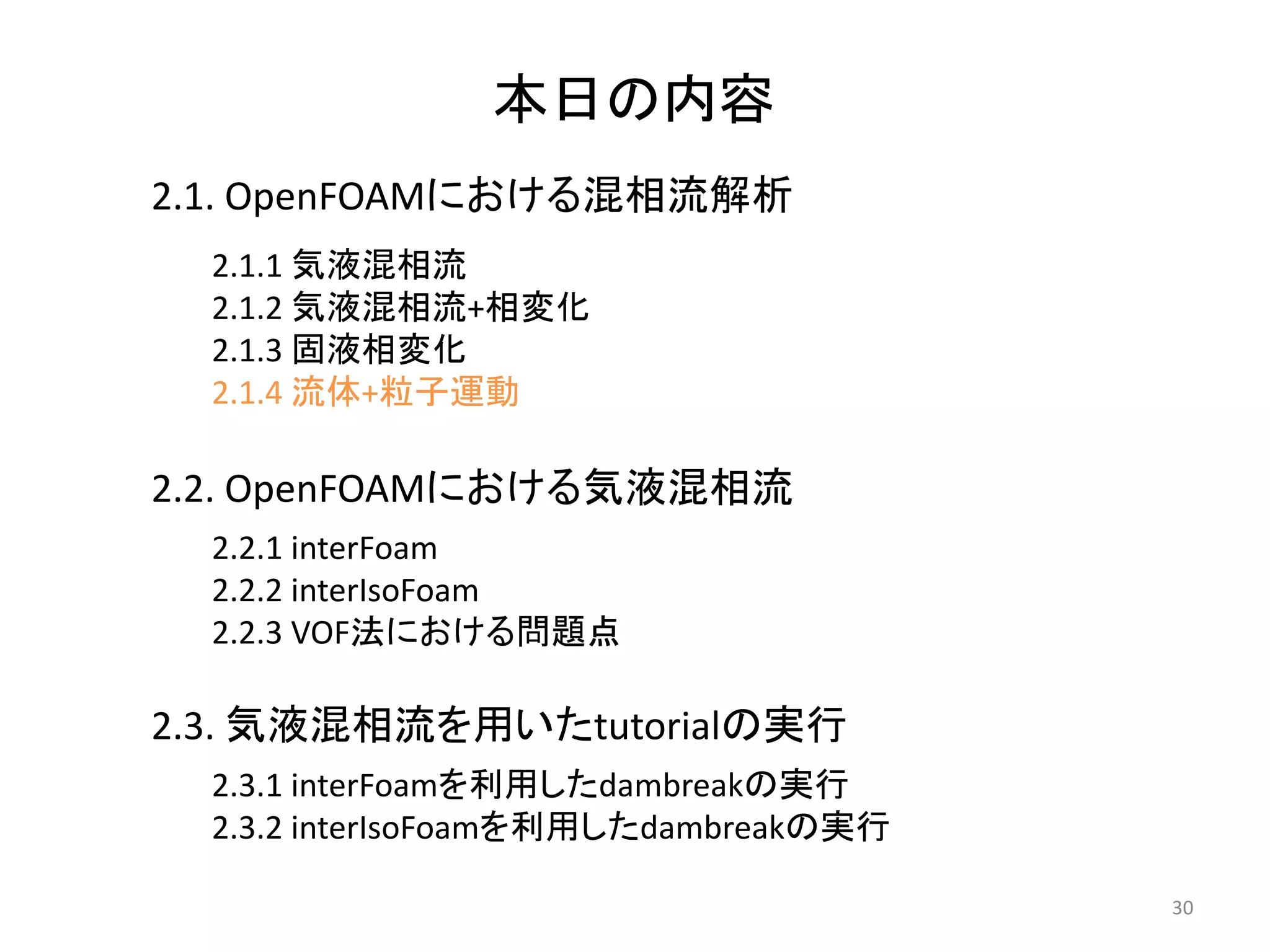 OpenFOAMによる混相流シミュレーション入門 | PDF | Physics | Science