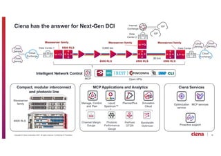 Data Centre Hubs: Where to Next by Lim Kok Chen, Ciena | PDF