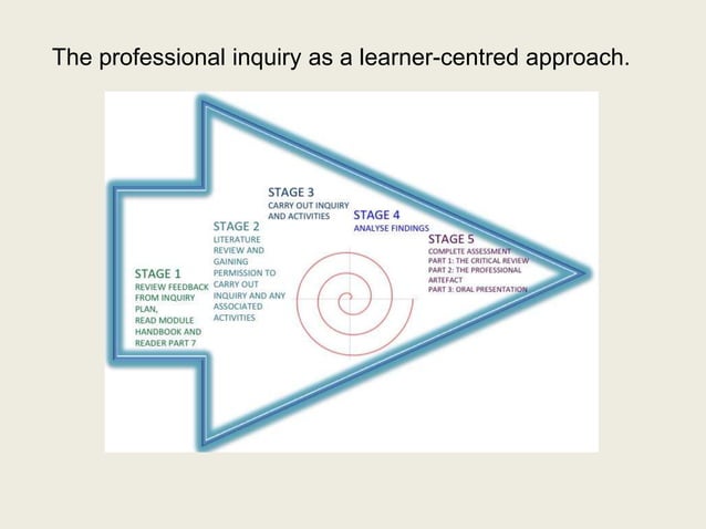Professional Inquiry: advocating the emerging practitioner perspective ...