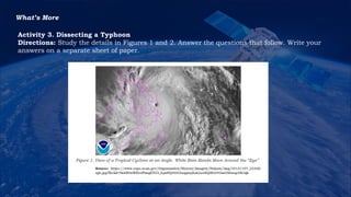 Tracking a Typhoon.pptx