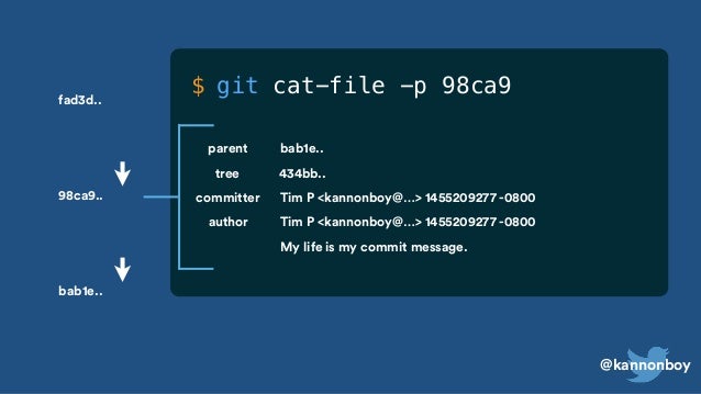 Git annex vs git lfs - apotraders