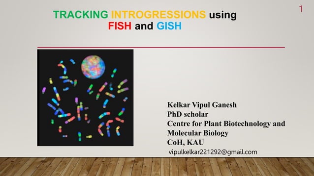 Tracking introgressions using FISH and GISH | PDF | Biological Sciences ...