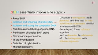 Tracking introgressions using FISH and GISH | PDF