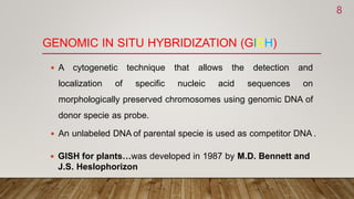 Tracking introgressions using FISH and GISH | PDF