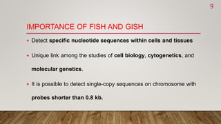 Tracking introgressions using FISH and GISH | PDF | Biological Sciences ...