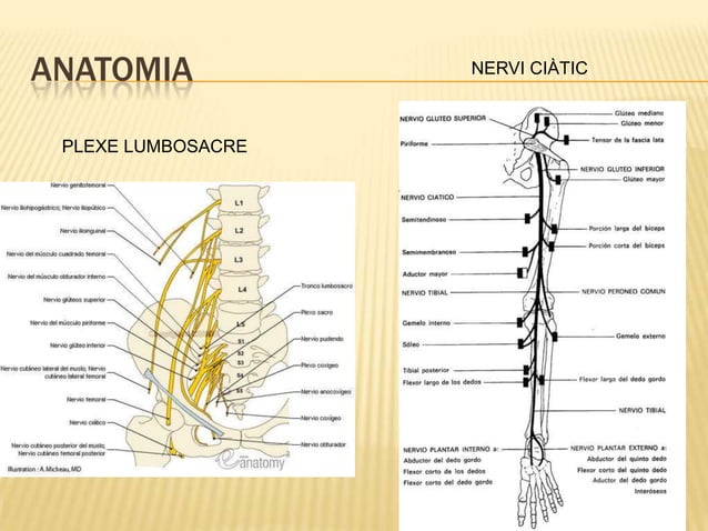 Tratamiento, fisioterapico, lumbalgias, | PPTX